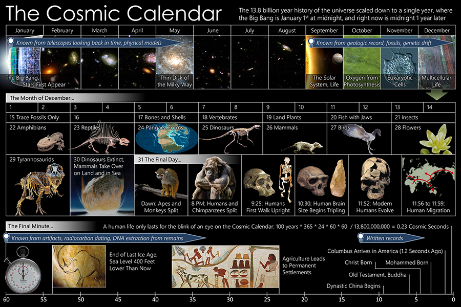 Cosmic calendar of Carl Sagan – Space and Time. Stories from the ...